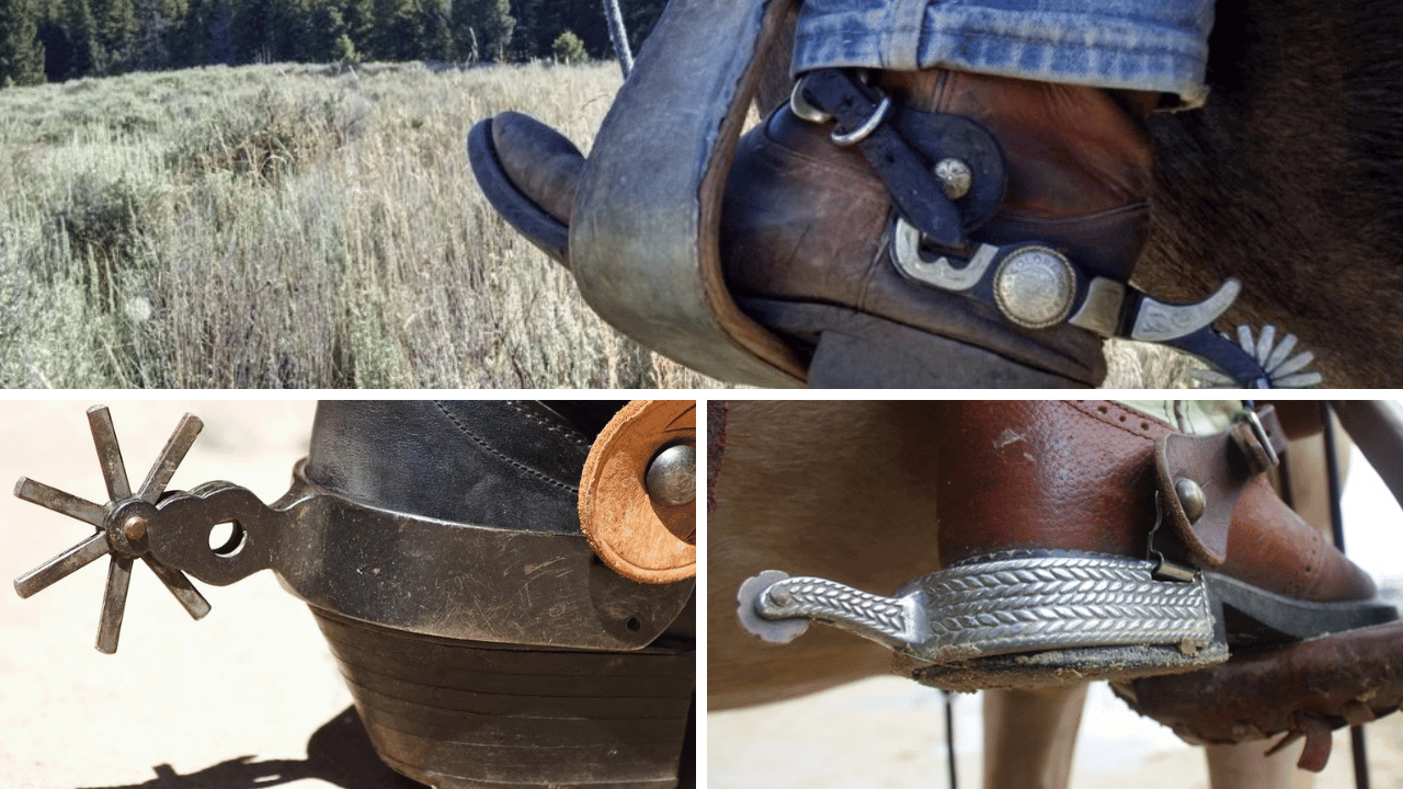 Want to Boost Riding Communication Skills? 5 Best Boot Spurs