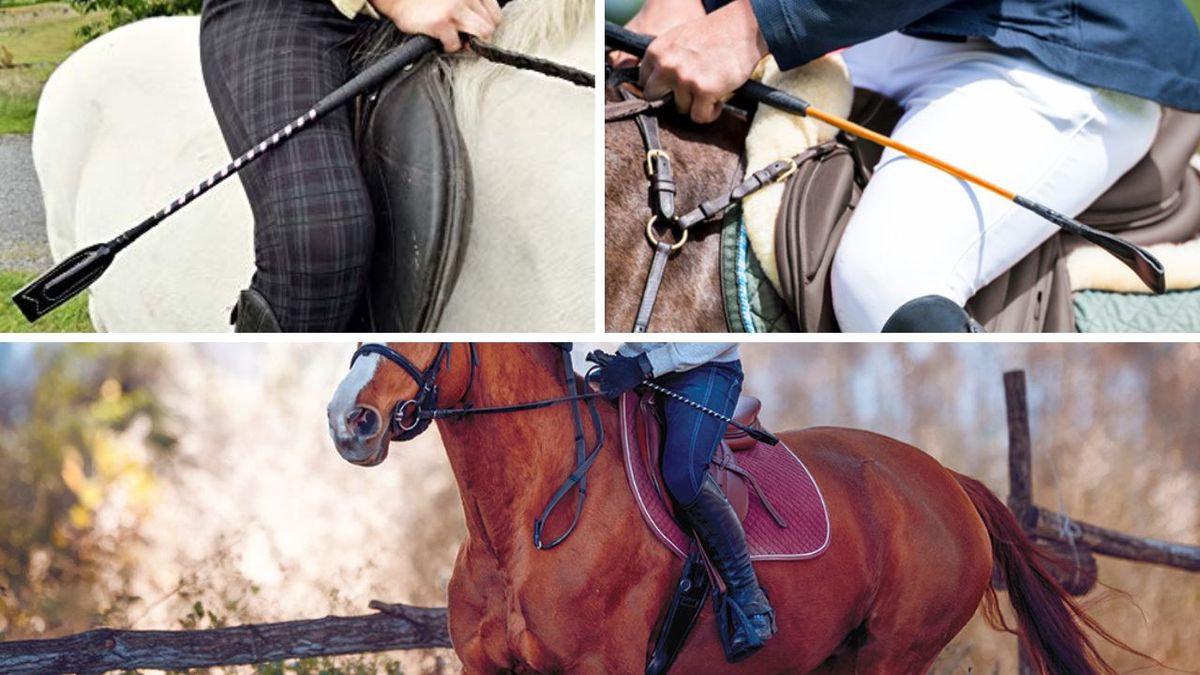 Now Gallop to Success: Employ These 5 Top Riding Crops