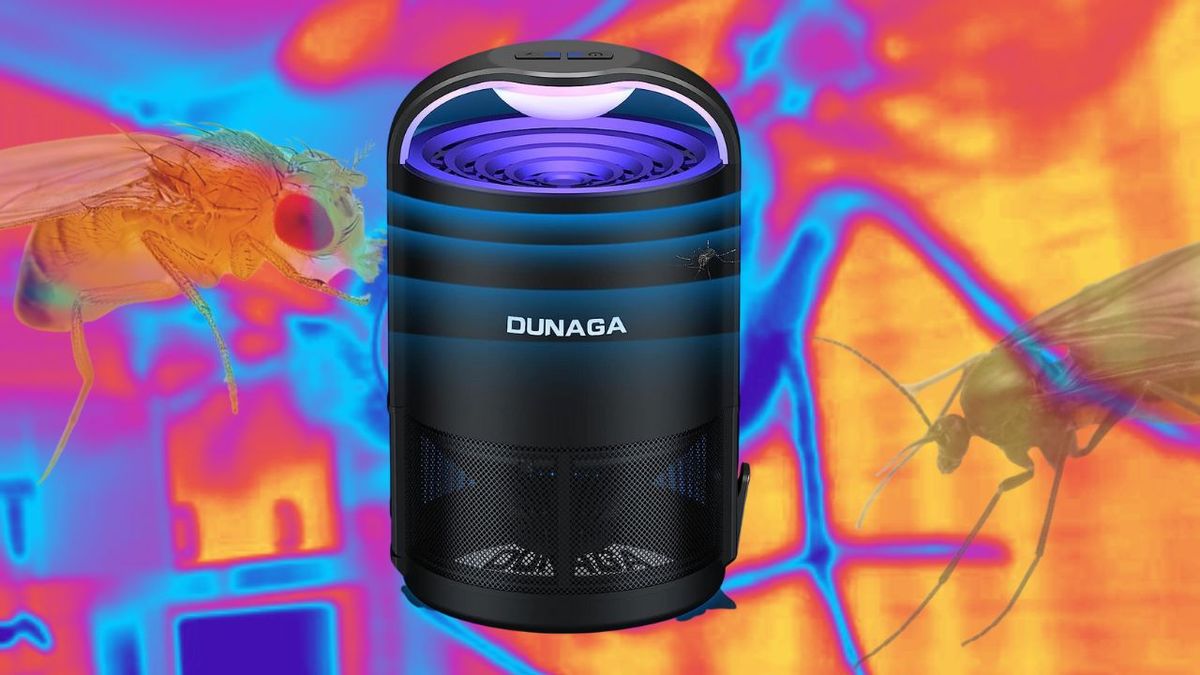 These 5 Best Magical Fly Light Traps Will Astound You Now!